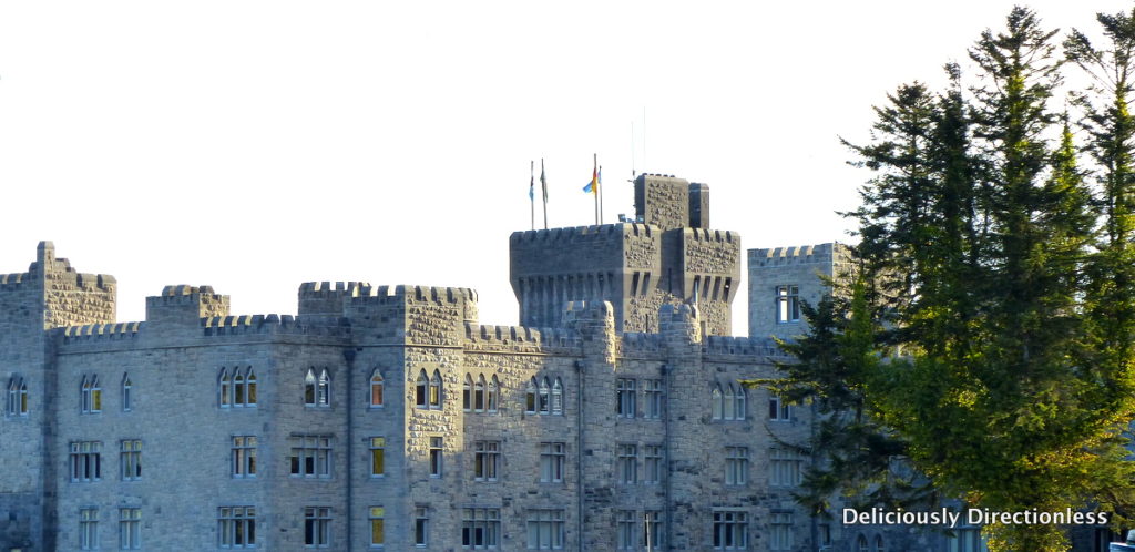 Experience: Falconry at Ashford Castle, Ireland - Deliciously Directionless