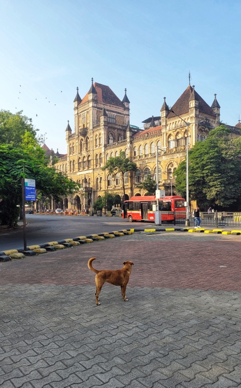 This Mumbai Walking Tour Is An Architectural Treat - Deliciously ...